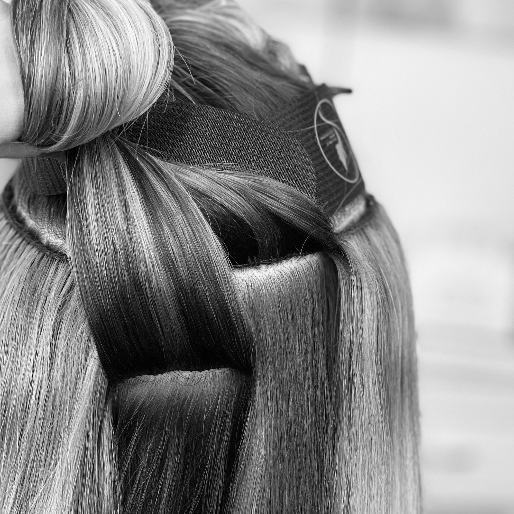 Iconic Beauty New York